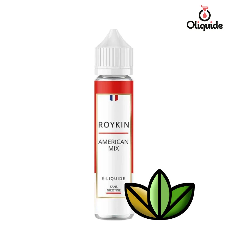 Eliquide Roykin American Mix 50ml à 8,58 € par 5